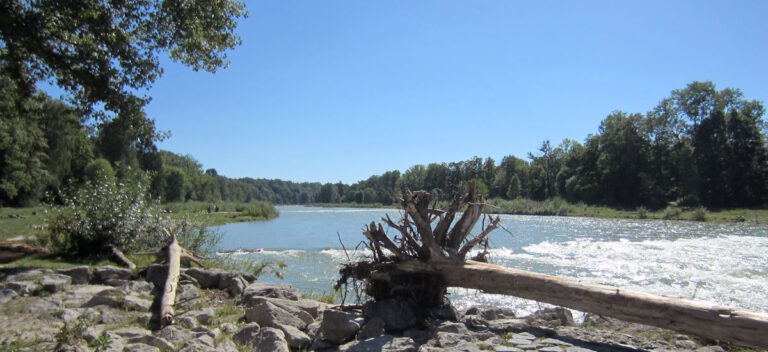 Isar - Bei uns in München