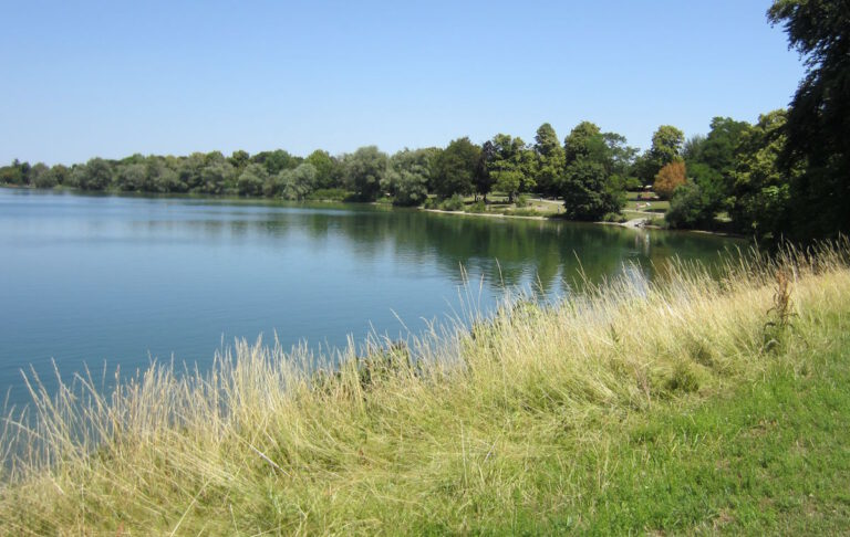 Feldmoching Hasenbergl - Bei uns in München