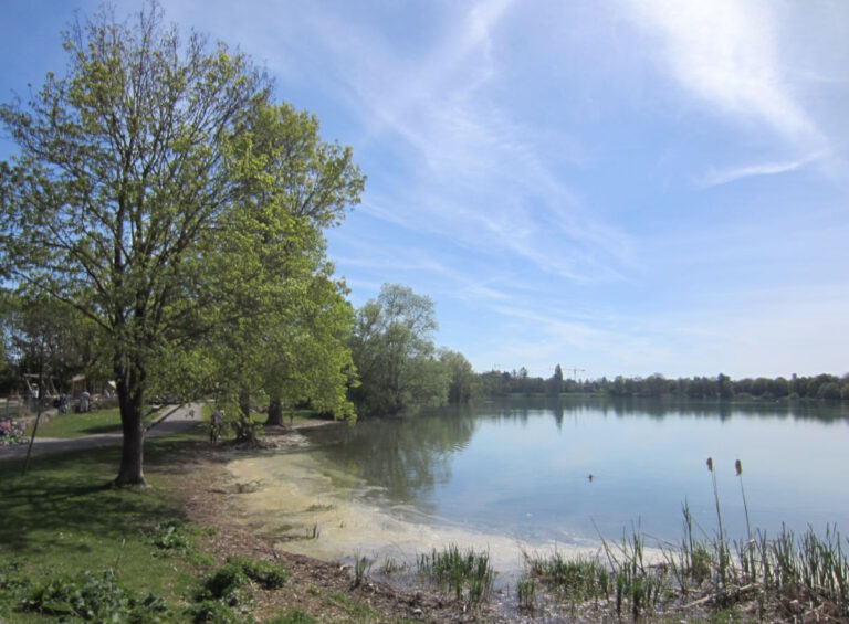 Feldmoching Hasenbergl - Bei uns in München